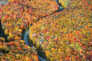 Top 5 Spots for Fall Color Viewing – Explore Michigan